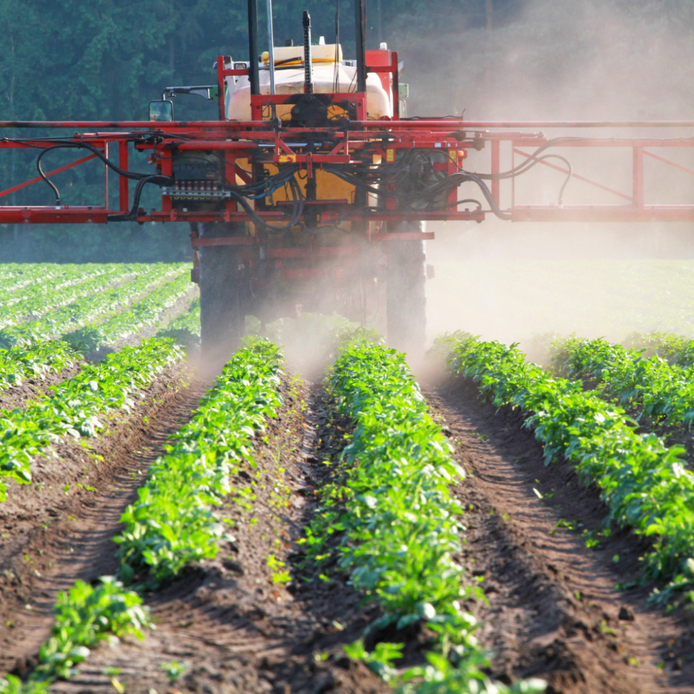 Pesticides et neurodeveloppement de l’enfant - Enfant atypique Pesticides et neurodeveloppement de l’enfant - Enfant atypique